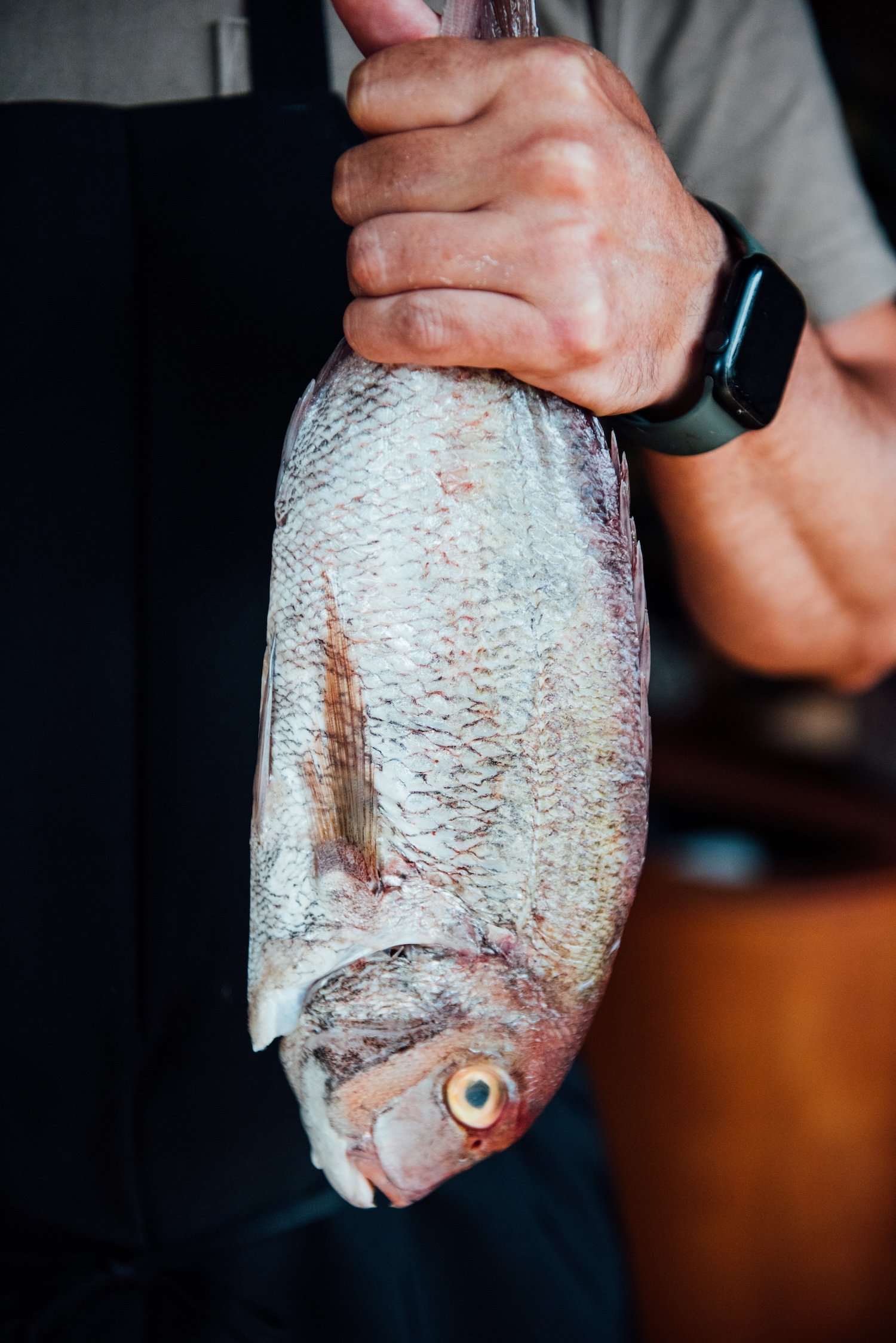 Catering - Fish and meats - Delivery service - Mange-Tout